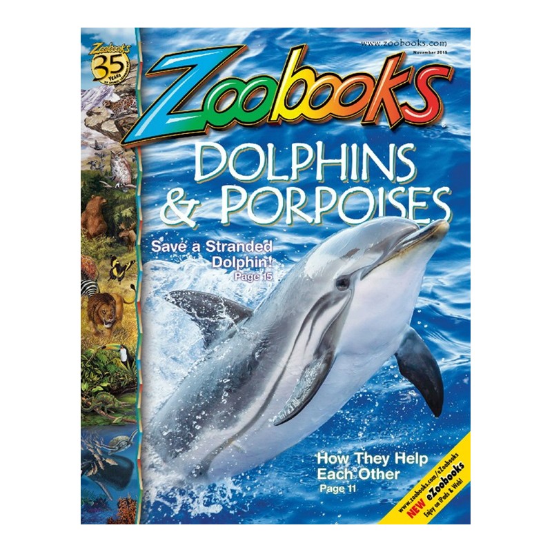 Zoobooks Magazine Subscription - truemagazines.com MagazineSubscriptions