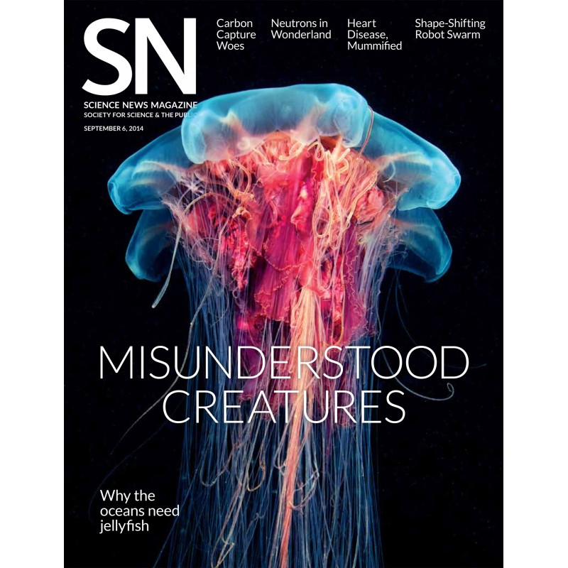 Science News Magazine Subscription